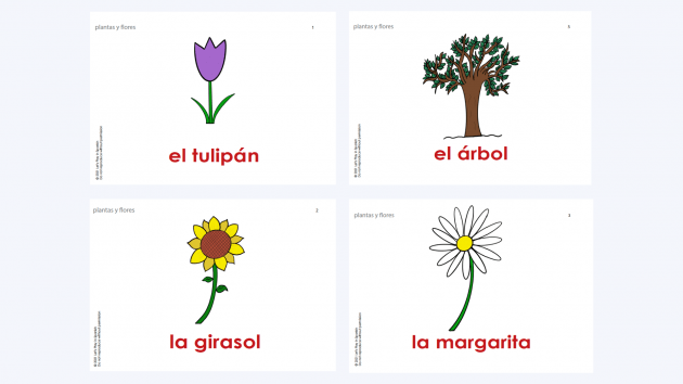 Preschool Spanish Curriculum | Spanish Classes for Kids