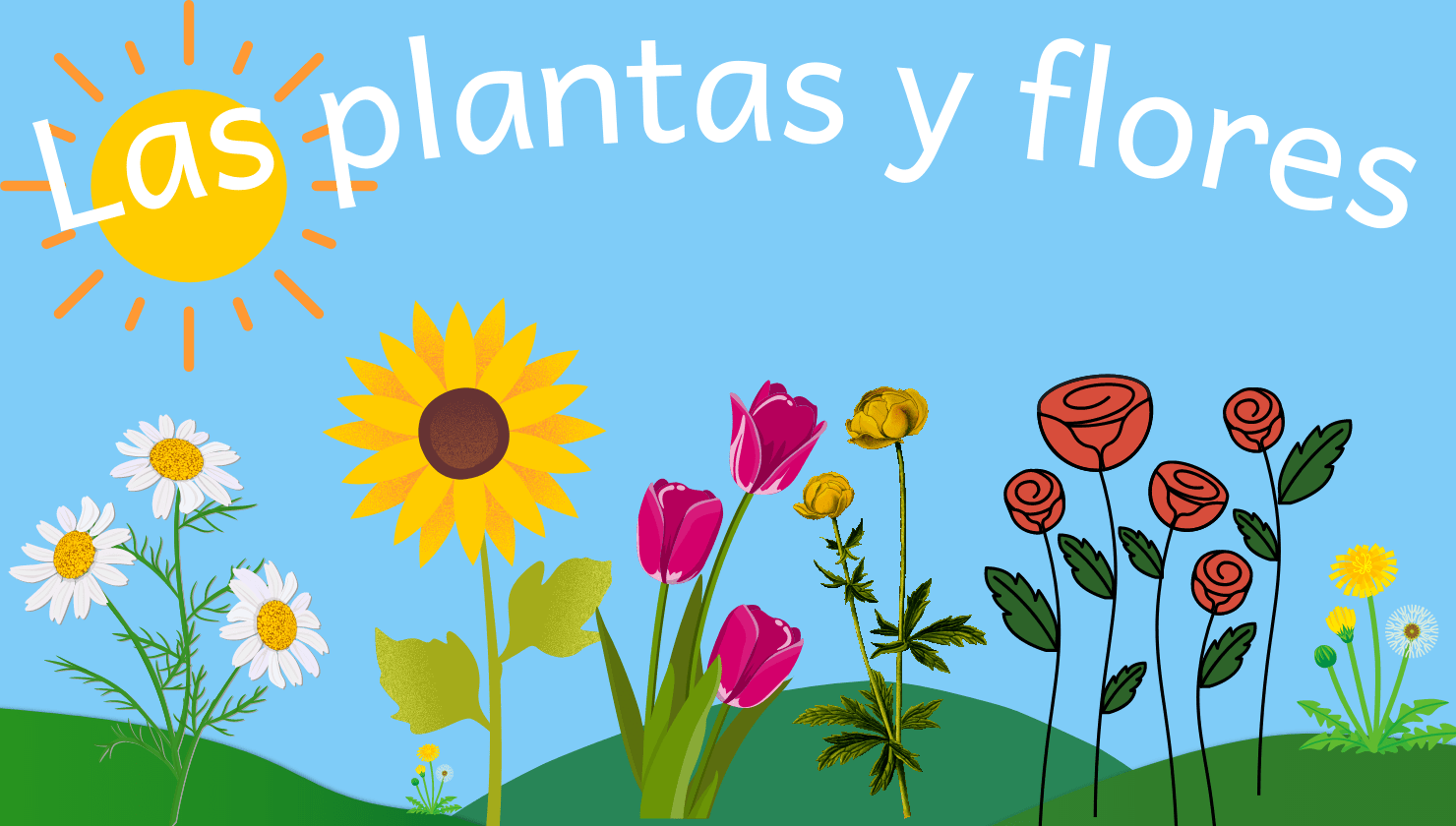 Preschool Spanish Curriculum | Spanish Classes for Kids